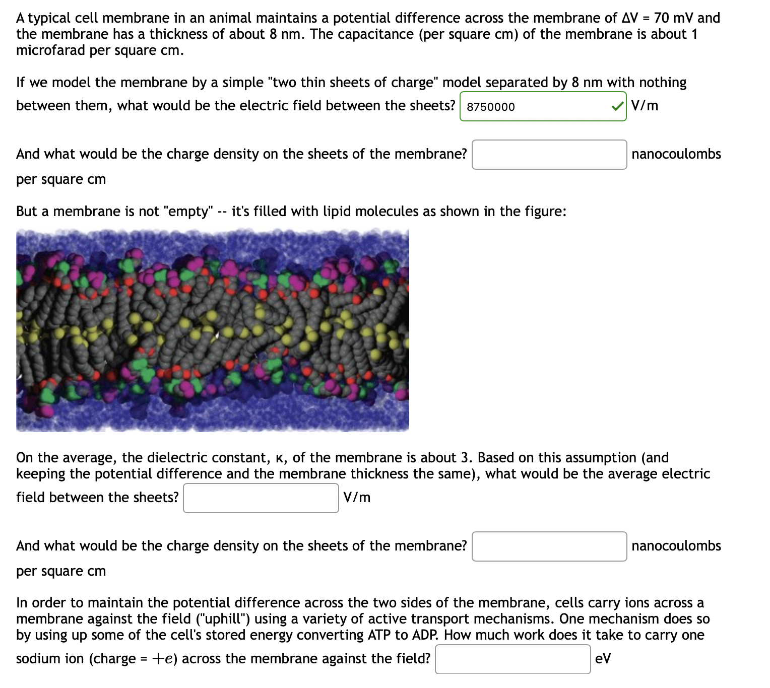 Solved A typical cell membrane in an animal maintains a | Chegg.com