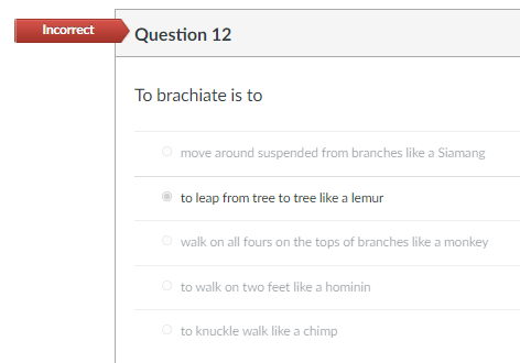 Solved Incorrect Question 12 To brachiate is to move around | Chegg.com