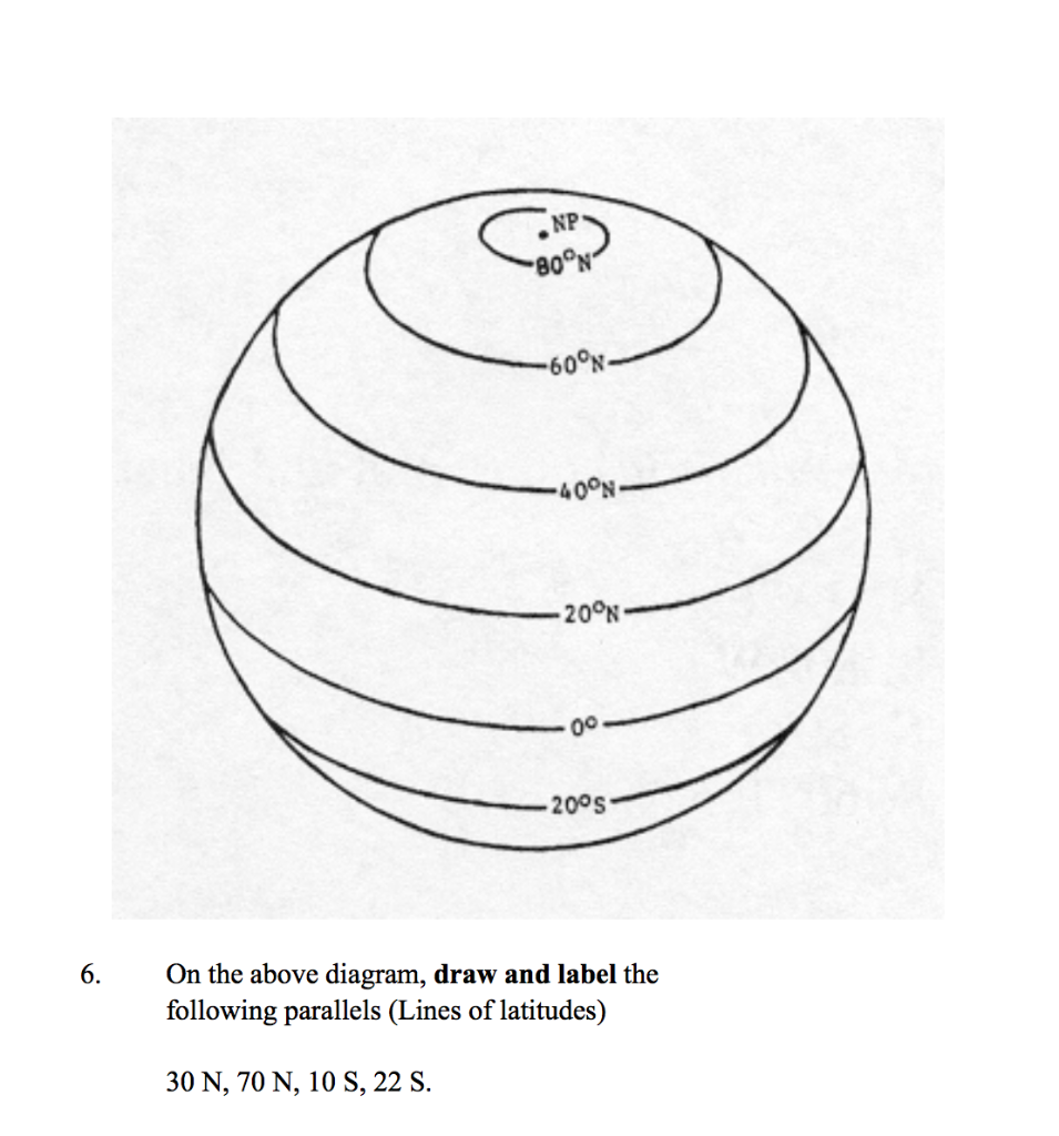 Solved NP 80ON 60°N ー400N 20% 6. On the above diagram, draw | Chegg.com