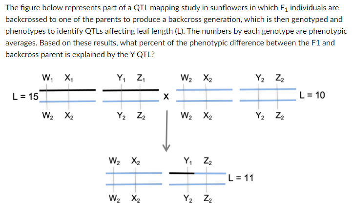 The figure below represents part of a QTL mapping | Chegg.com