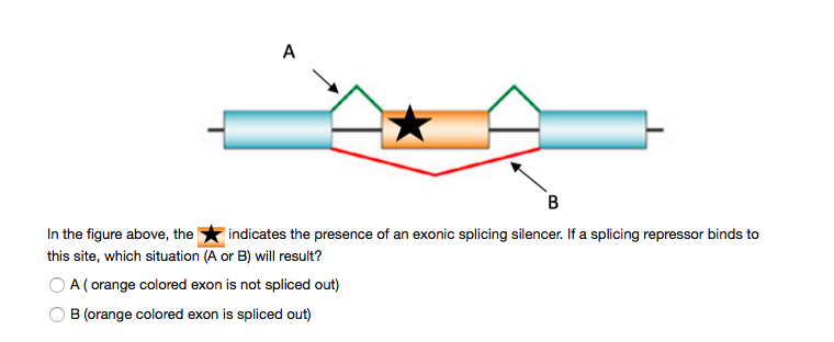 Solved In the figure above, the indicates the presence of | Chegg.com