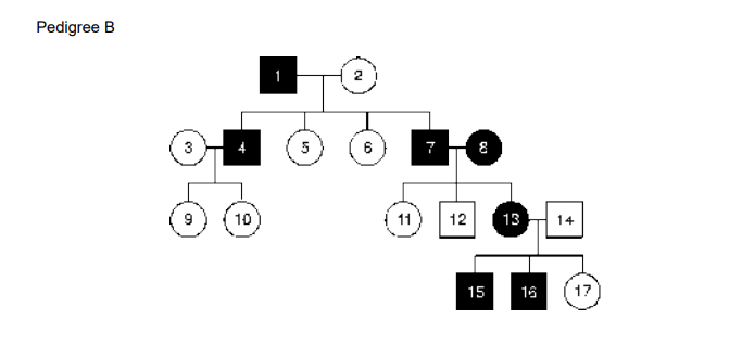 Solved For each pedigree below, tell if the trait can be | Chegg.com