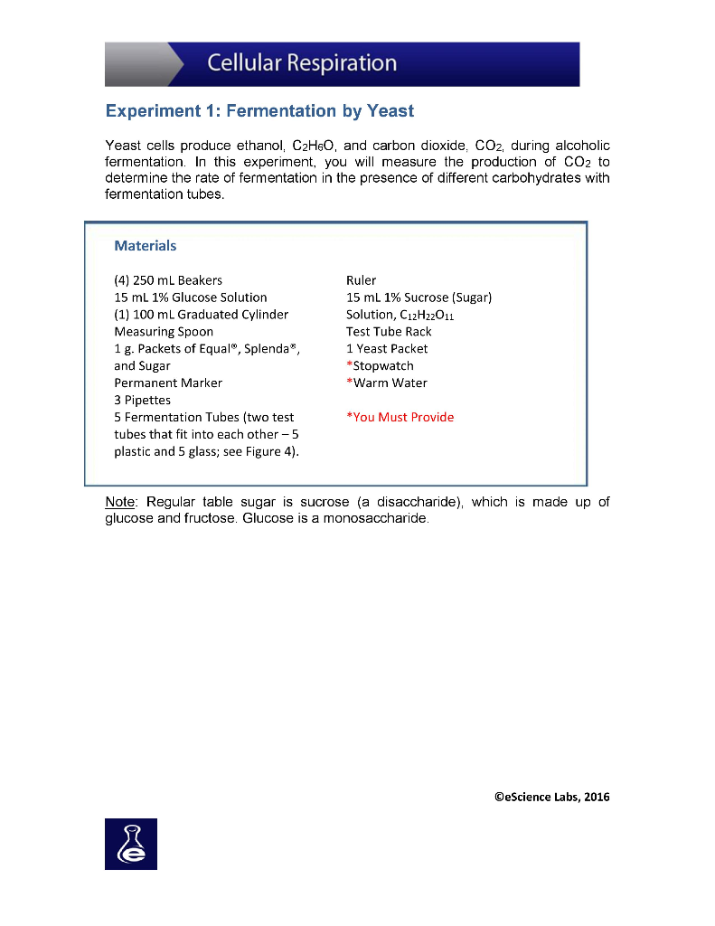 Cellular Respiration Experiment 1: Fermentation by | Chegg.com