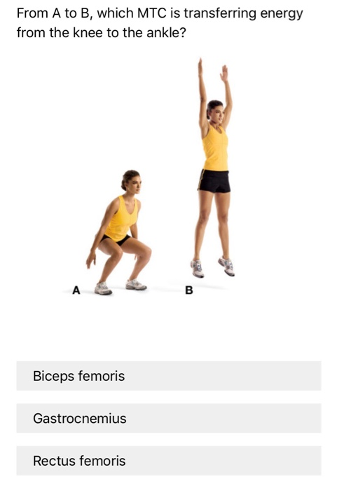 Solved From A to B, which MTC is transferring energy from | Chegg.com