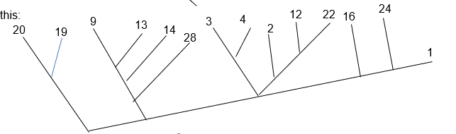 Solved Look at the phylogenetic tree you built for the 14 | Chegg.com