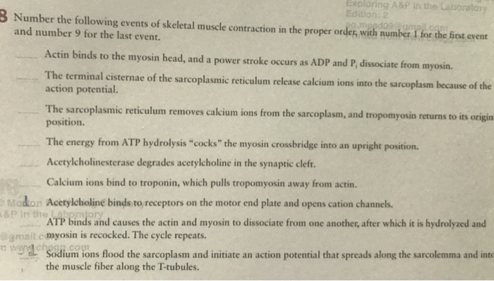 Solved Number the following events of skeletal muscle | Chegg.com