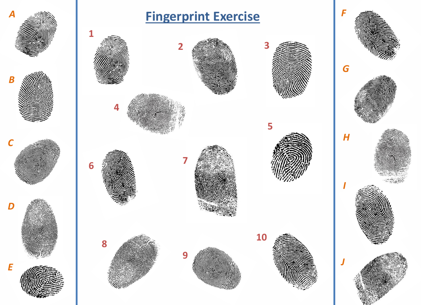 Fingerprints 1-10 ﻿are your unknown fingerprints | Chegg.com