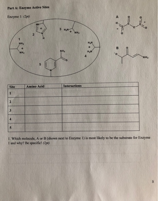 Solved composed of repeating Nucleic acids are also | Chegg.com