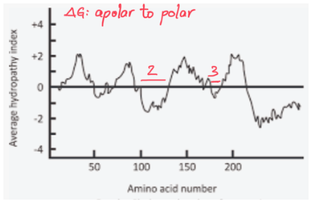 Solved Considering the following hydropathy plot for a | Chegg.com