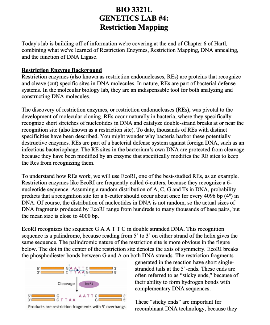 BIO 3321L GENETICS LAB #4: Restriction Mapping | Chegg.com