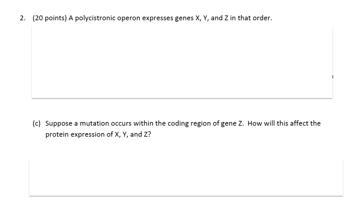 Solved 2. (20 points) A polycistronic operon expresses genes | Chegg.com