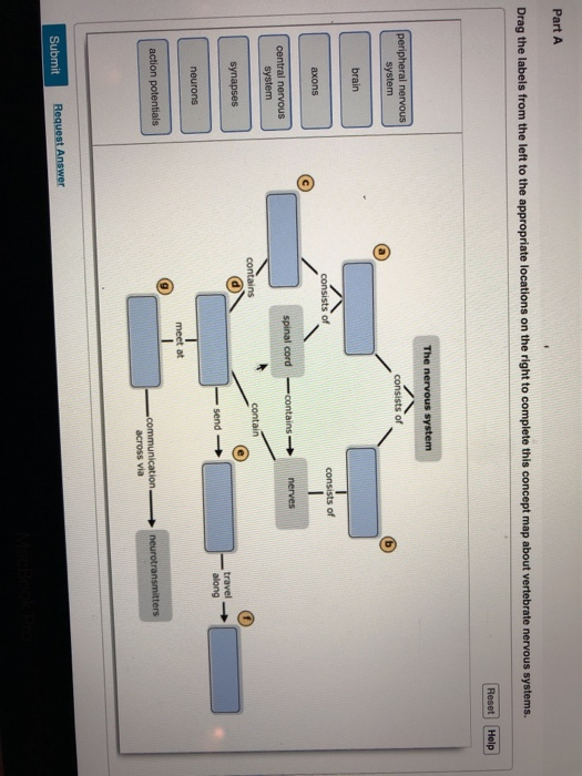 Solved Part A Drag the labels from the left to the | Chegg.com