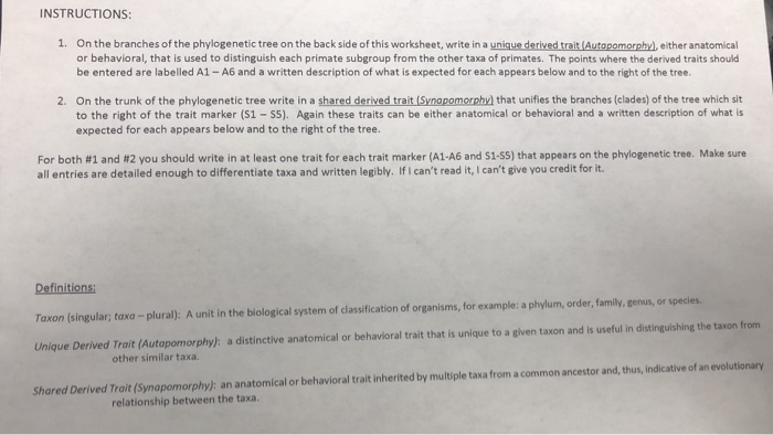 Solved Write in a unique derived trait for: A1: | Chegg.com