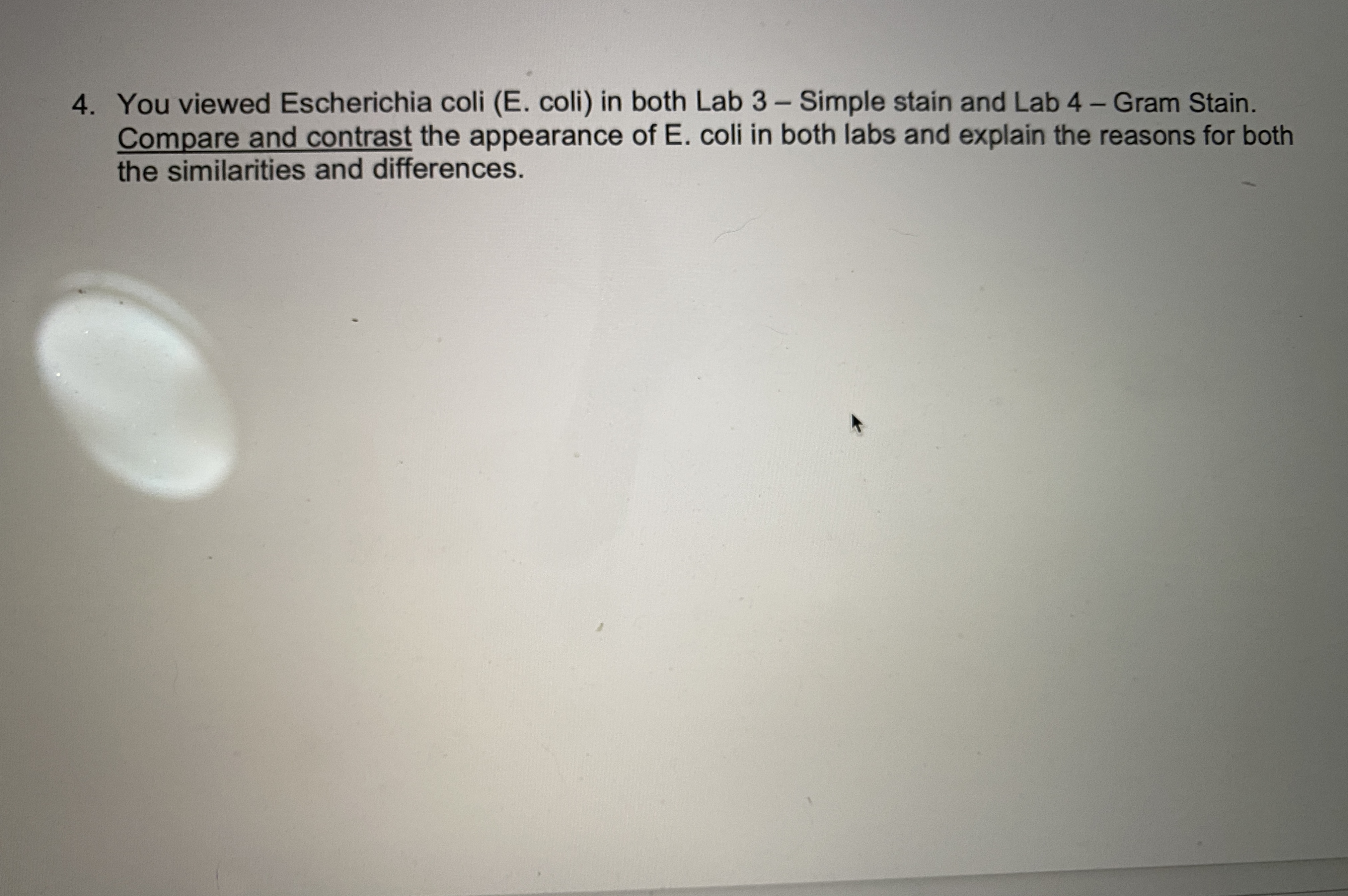 Solved You viewed Escherichia coli (E. ﻿coli) ﻿in both Lab | Chegg.com
