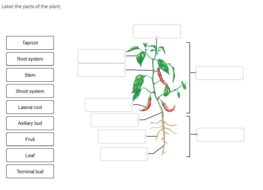 Solved Required information Study the concept map and then | Chegg.com
