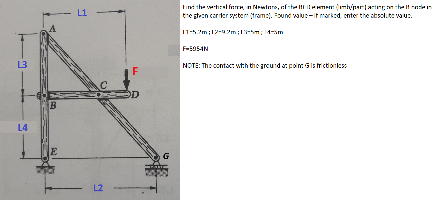 Solved L1 Find the vertical force, in Newtons, of the BCD | Chegg.com