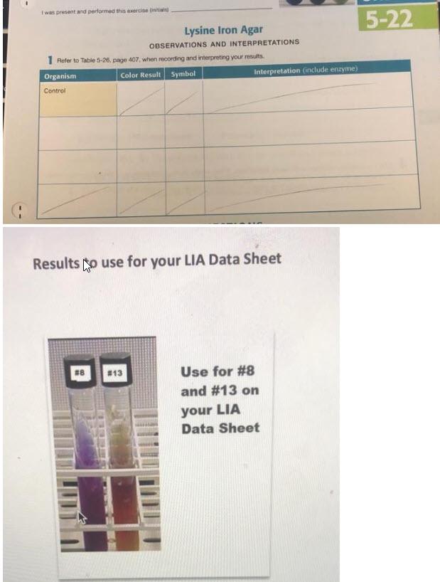 Solved I was present and performed this web 5-22 Lysine Iron | Chegg.com