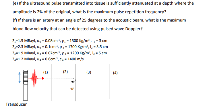 A 256 element 4 MHz linear array sends a | Chegg.com