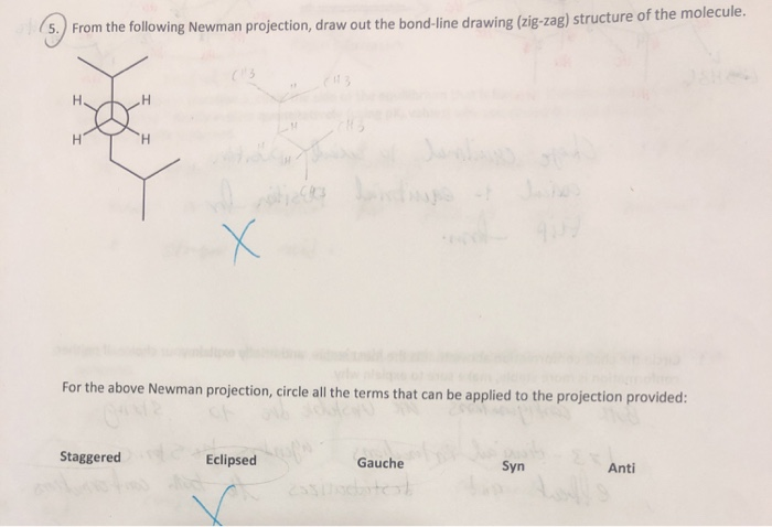 Solved 5. From the following Newman projection, draw out the | Chegg.com