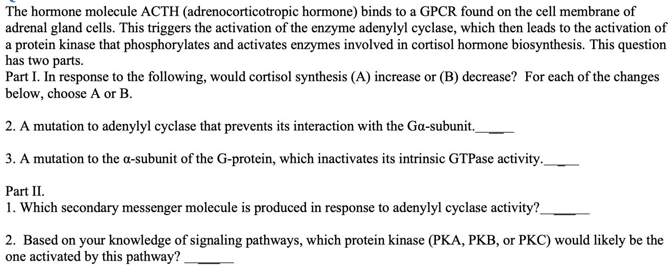 Solved The hormone molecule ACTH (adrenocorticotropic | Chegg.com