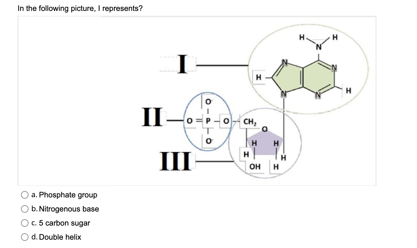 Solved In the following picture, I represents? a. Phosphate | Chegg.com