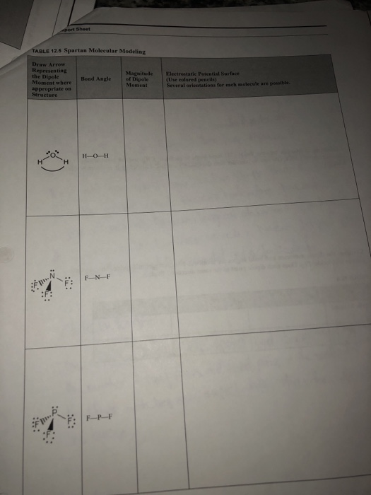 port Sheet TABLE 12.5 Spartan Molecular Modeling Draw | Chegg.com