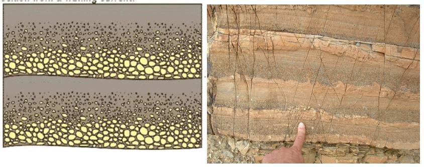 Graded Bedding Diagram
