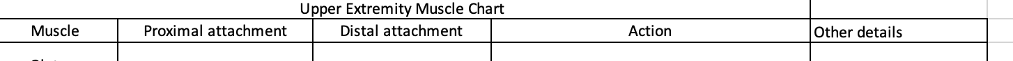 Upper Extremity Muscle Chart | Chegg.com