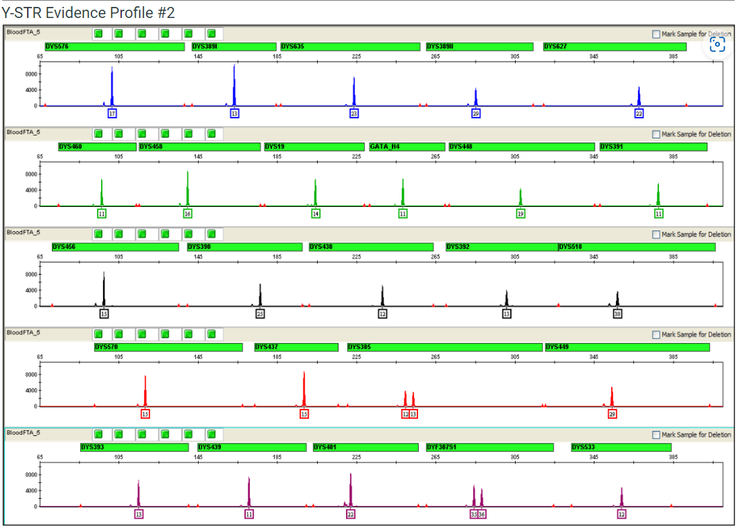 Solved Part A. Y-STR DNA Profile Interpretation questions | Chegg.com
