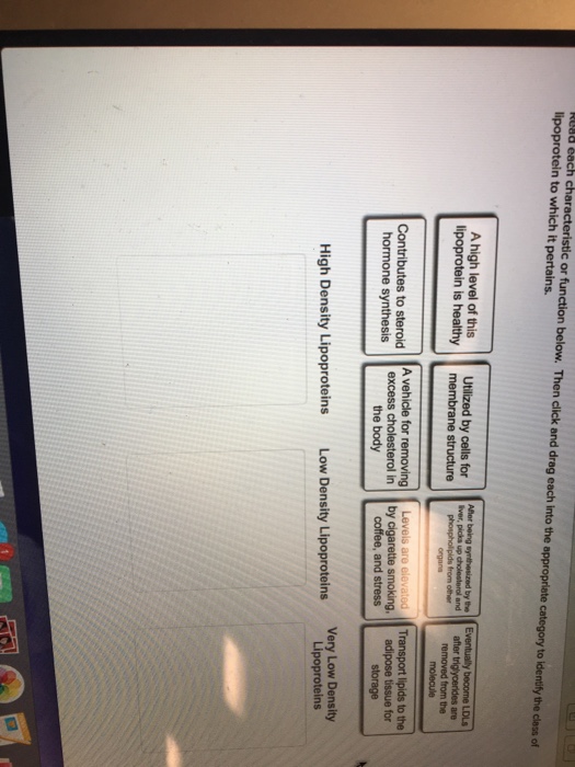 Solved Read each characteristic or function below then click | Chegg.com Solved Read each characteristic or function below then click | Chegg.com