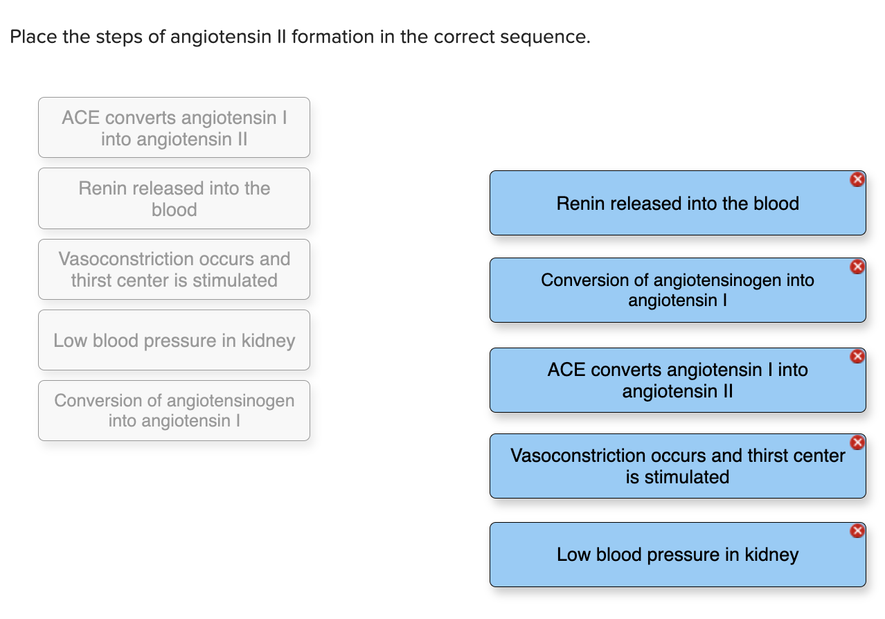 Solved Place the steps of angiotensin II formation in the | Chegg.com