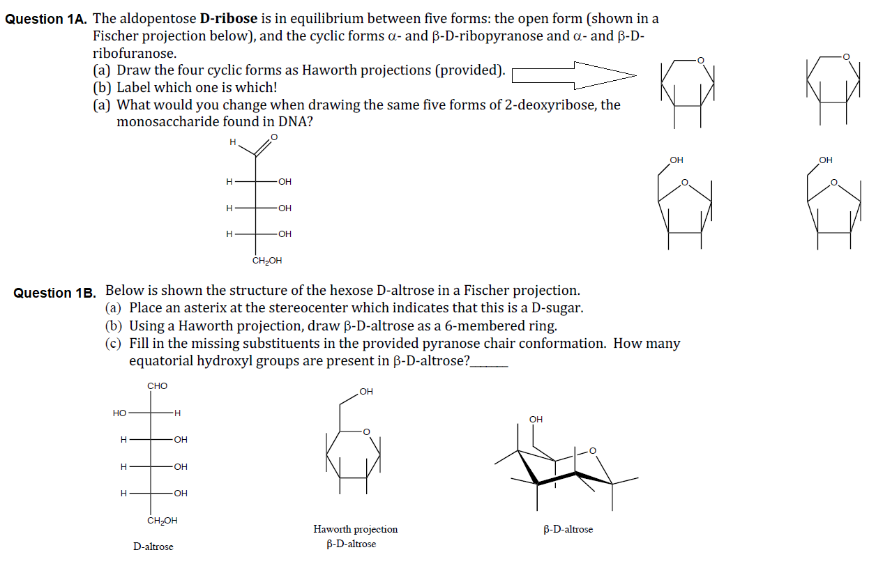 Solved Question 1A. The aldopentose D-ribose is in | Chegg.com