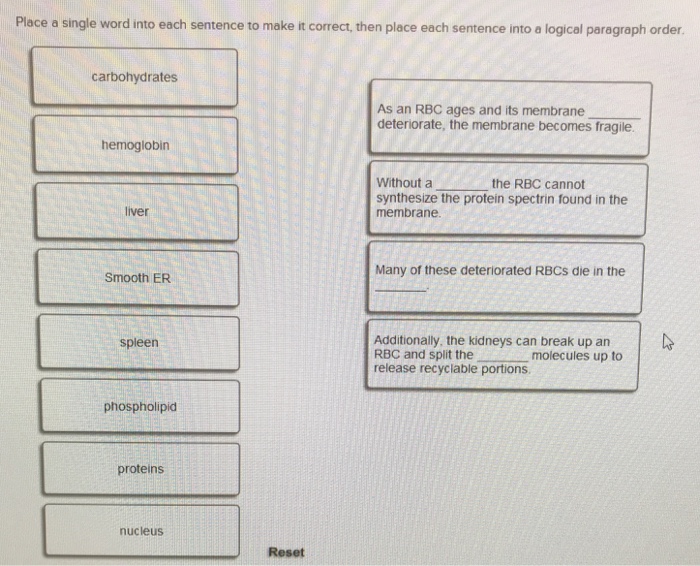 Solved Place a single word into each sentence to make it | Chegg.com