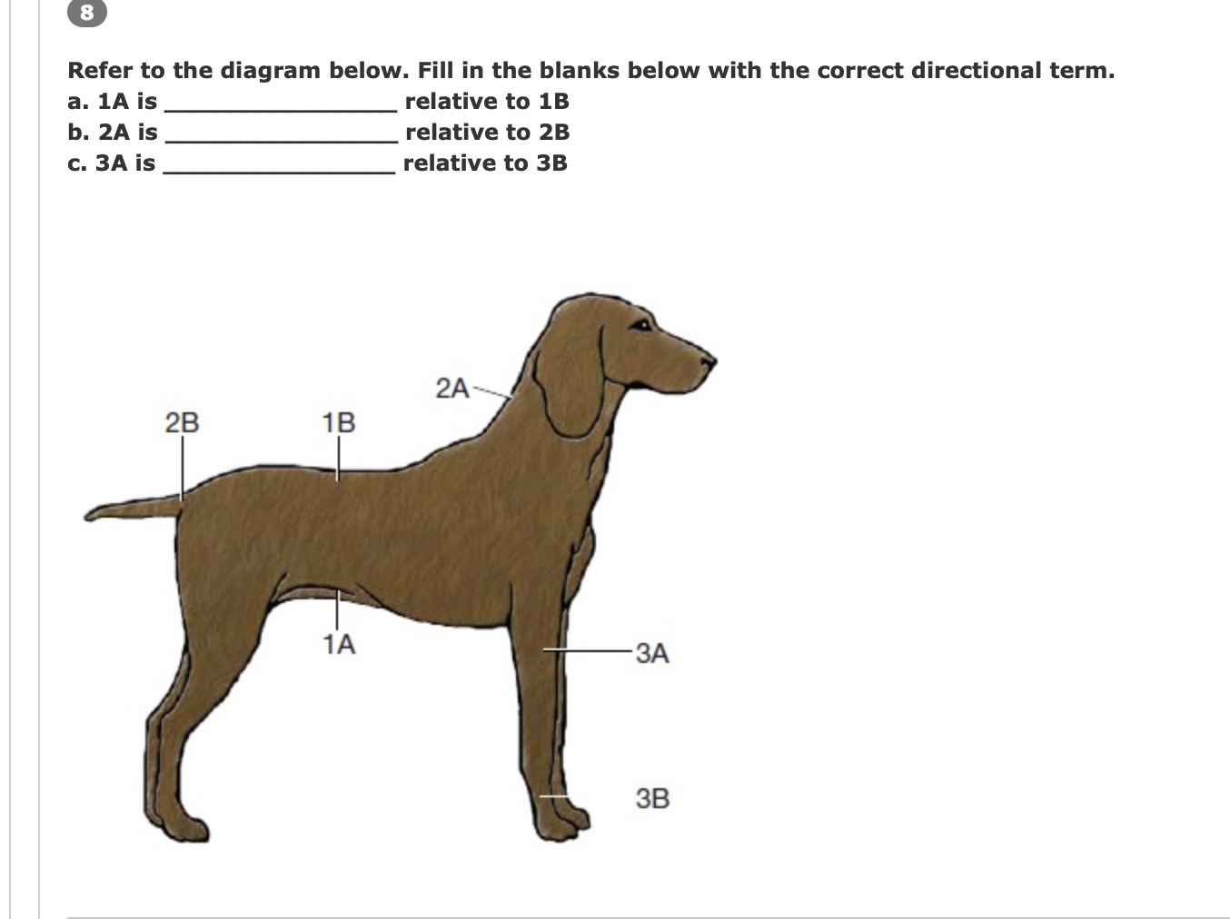Solved 8 Refer to the diagram below. Fill in the blanks | Chegg.com