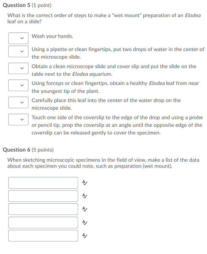 Solved Question 5 (1 point) What is the correct order of | Chegg.com