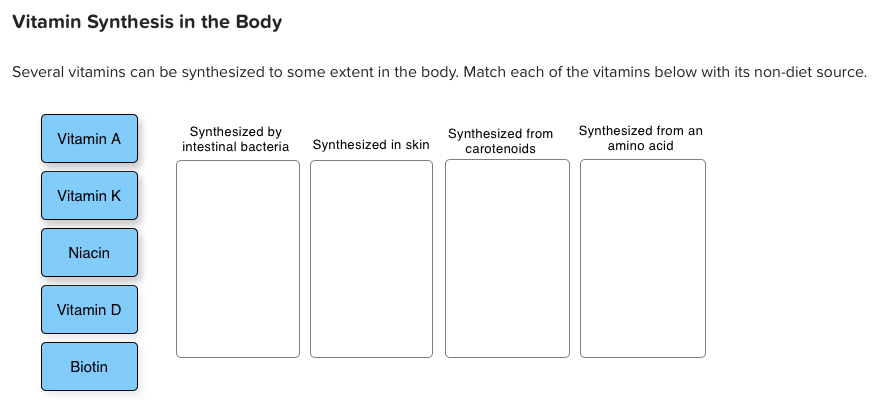 Solved Vitamin Synthesis in the Body Several vitamins can be | Chegg.com