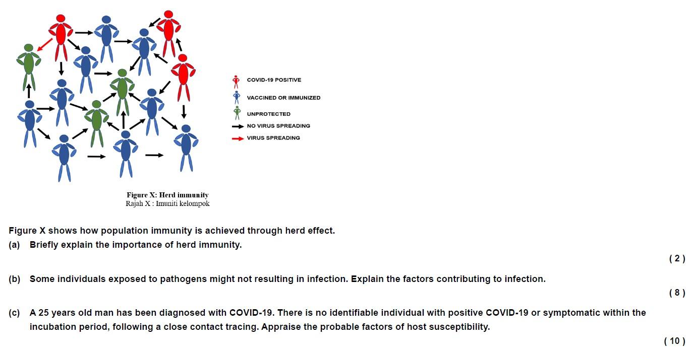 Solved Figure X shows how population immunity is achieved | Chegg.com