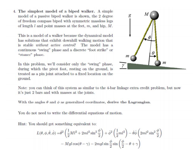 M 4. The simplest model of a biped walker. A simple | Chegg.com