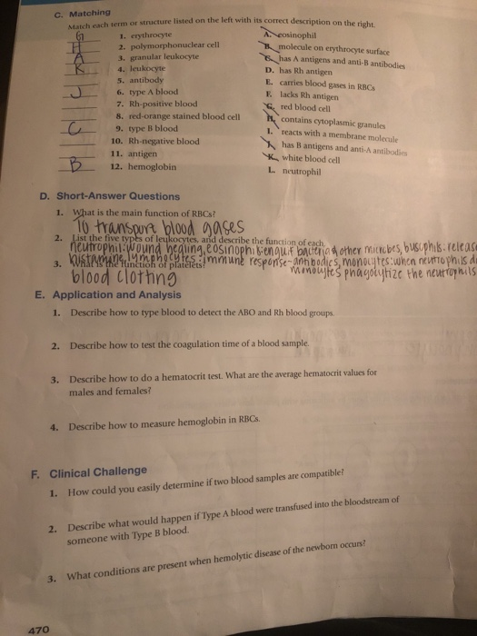 Solved C. Matching Match each term or structure listed on | Chegg.com