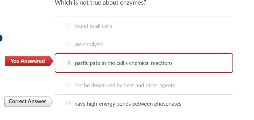 Solved write a rationale for why that answer was correct and | Chegg.com