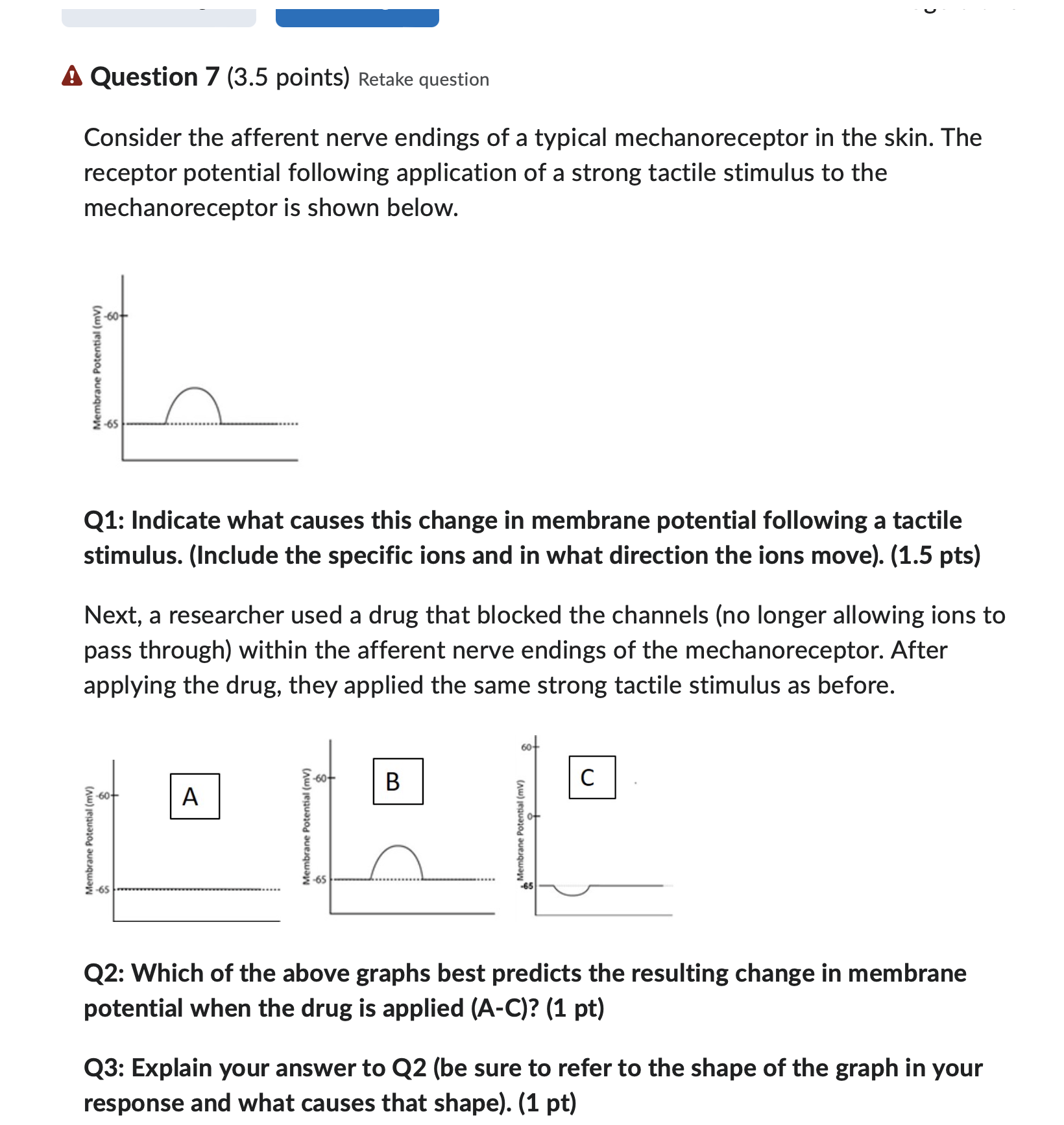 Solved Consider the afferent nerve endings of a typical | Chegg.com
