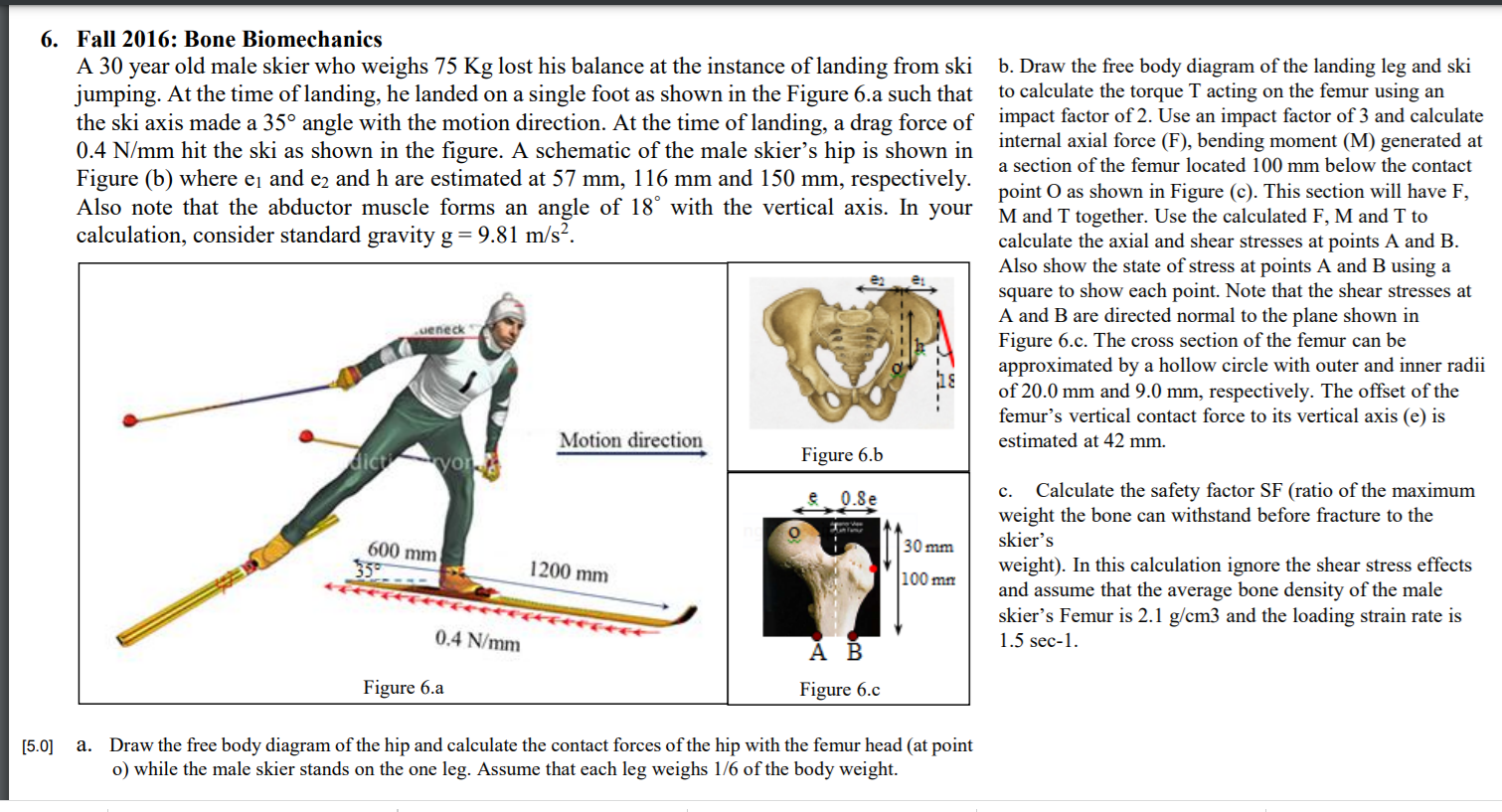 ueneck 6. Fall 2016: Bone Biomechanics A 30 year old | Chegg.com