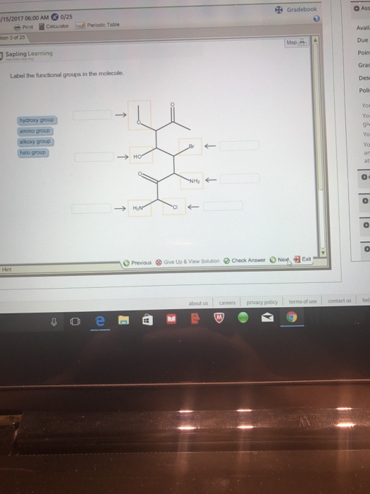 Solved Label the functional groups in the molecule. | Chegg.com Solved Label the functional groups in the molecule. | Chegg.com