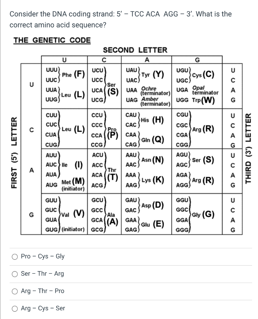 Solved Consider the DNA coding strand: 5' – TCC ACA AGG - | Chegg.com