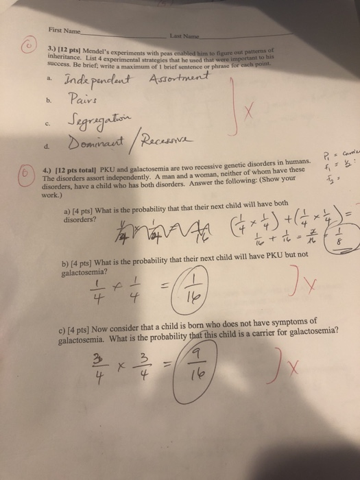Solved First Name Last Name pts] Mendel's experiments with | Chegg.com