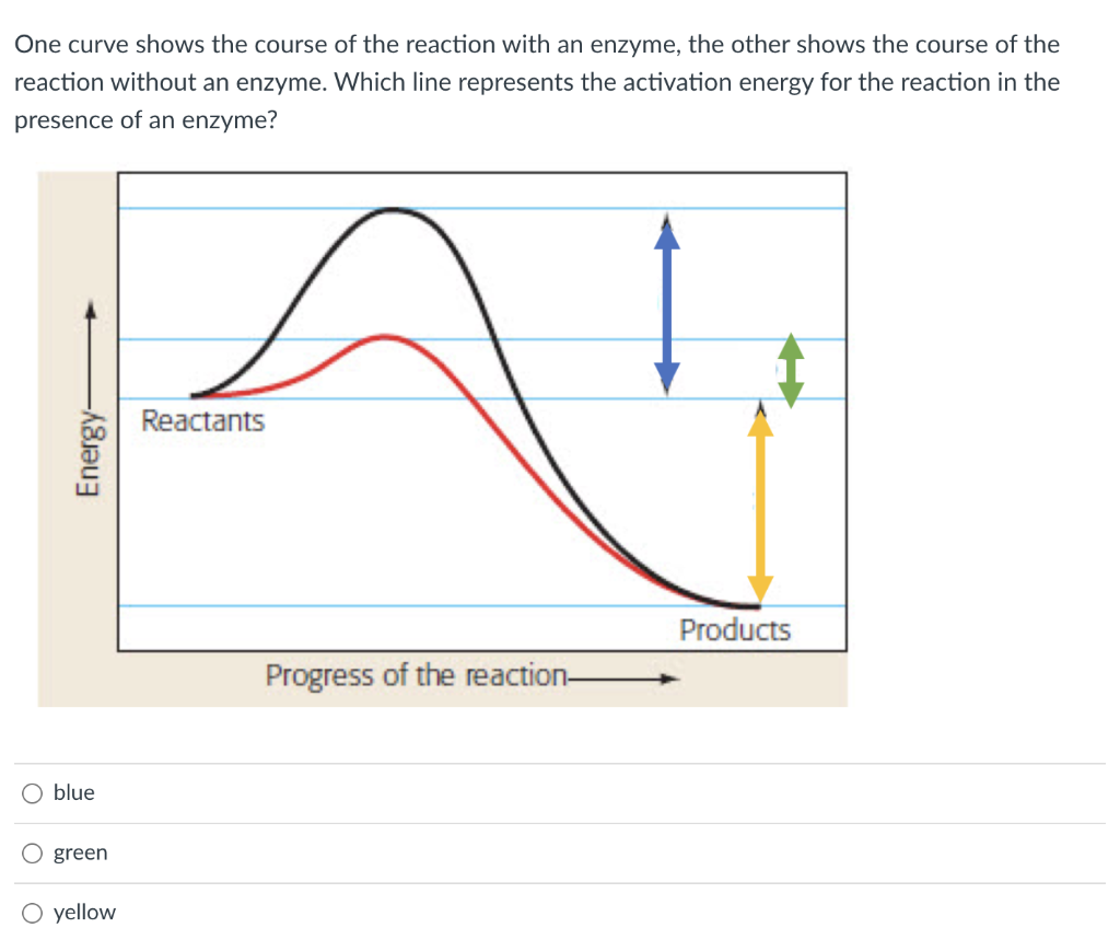 Solved One curve shows the course of the reaction with an | Chegg.com
