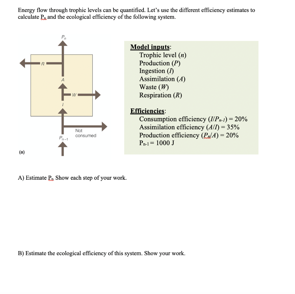 Solved Energy flow through trophic levels can be quantified. | Chegg.com