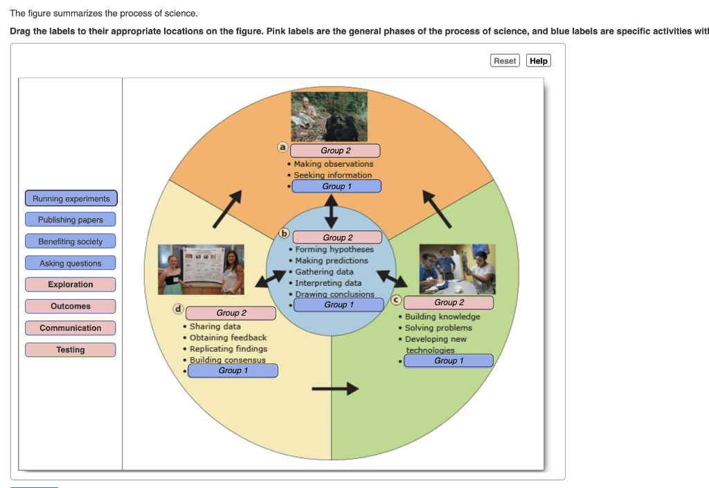 Solved The figure summarizes the process of science. Drag | Chegg.com