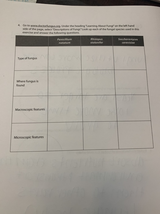 Solved 4. Go to www.doctorfungus.org Under the heading | Chegg.com