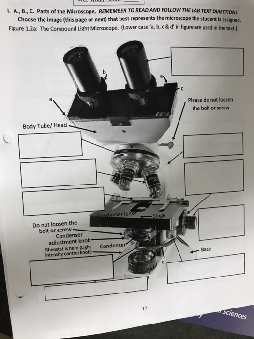 Parts Of A Compound Light Microscope Rheostat